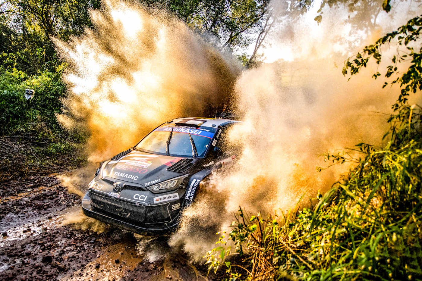 Ogier remonta con maestría y lidera el Rally de Paraguay